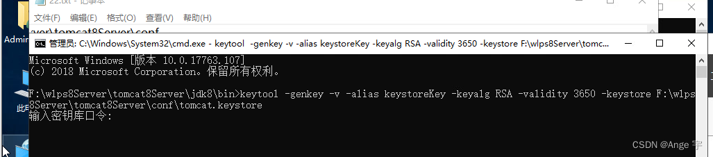 在Tomcat上实现HTTPS访问 / 已部署的网站（Tomcat类型）实现HTTPS访问_访问tomcat网址-CSDN博客