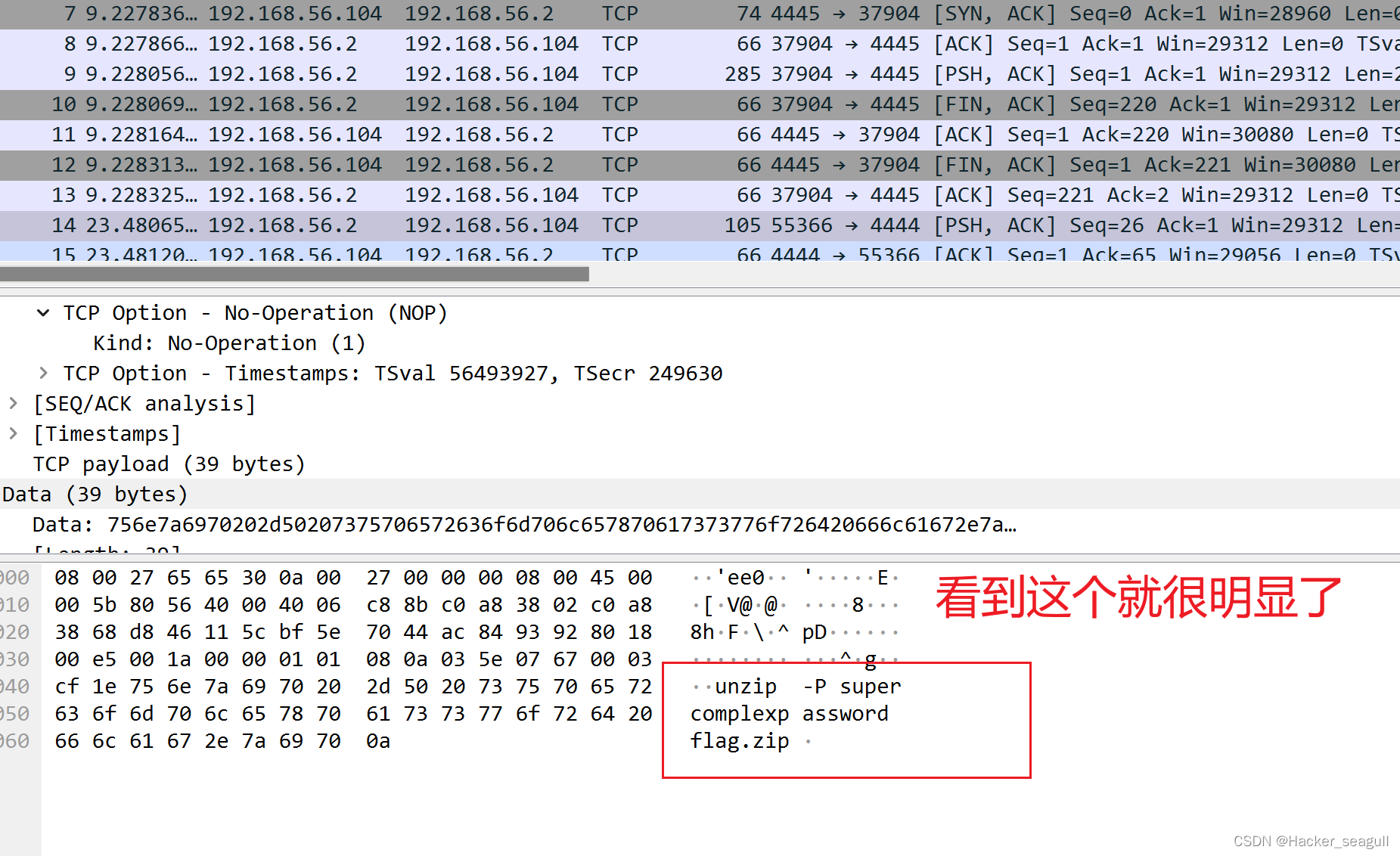 NSSCTF-[BSidesSF-CTF 2019] Zippy（详细解题思路）_1.[bsidessf-ctf 2019] zippy-CSDN博客