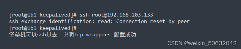 基于lvs+keepalived+nginx的web高性能集群项目_keepalived nginx lvs 配置-CSDN博客