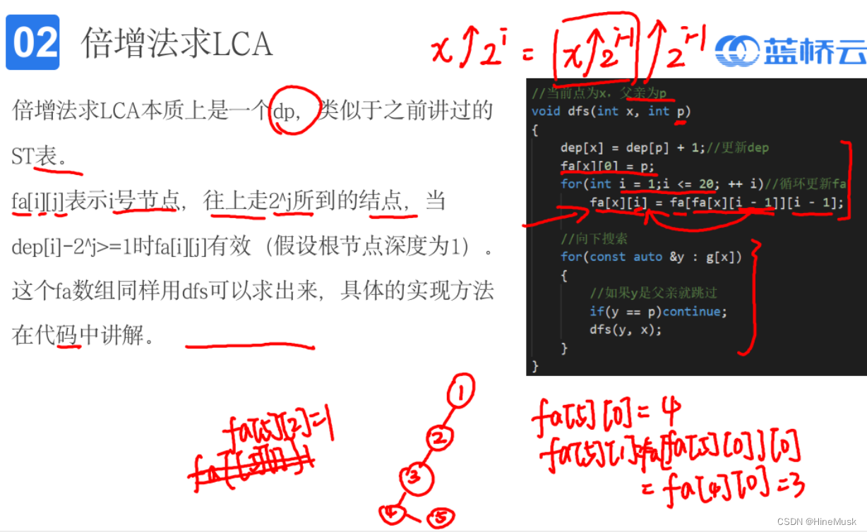 算法课程笔记——LCA-CSDN博客