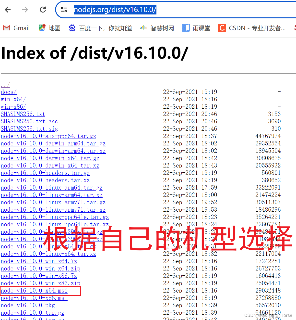Node.v16及其他版本的下载安装过程_node16下载-CSDN博客