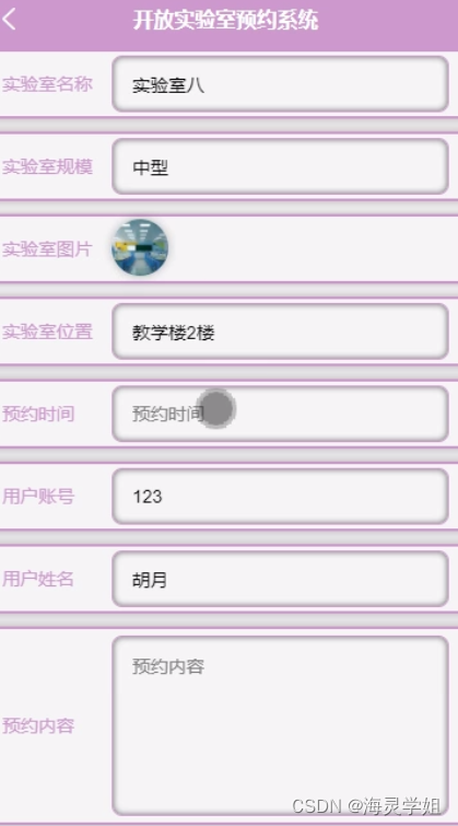Node+Vue毕设开放实验室预约系统（程序+mysql+Express）-CSDN博客