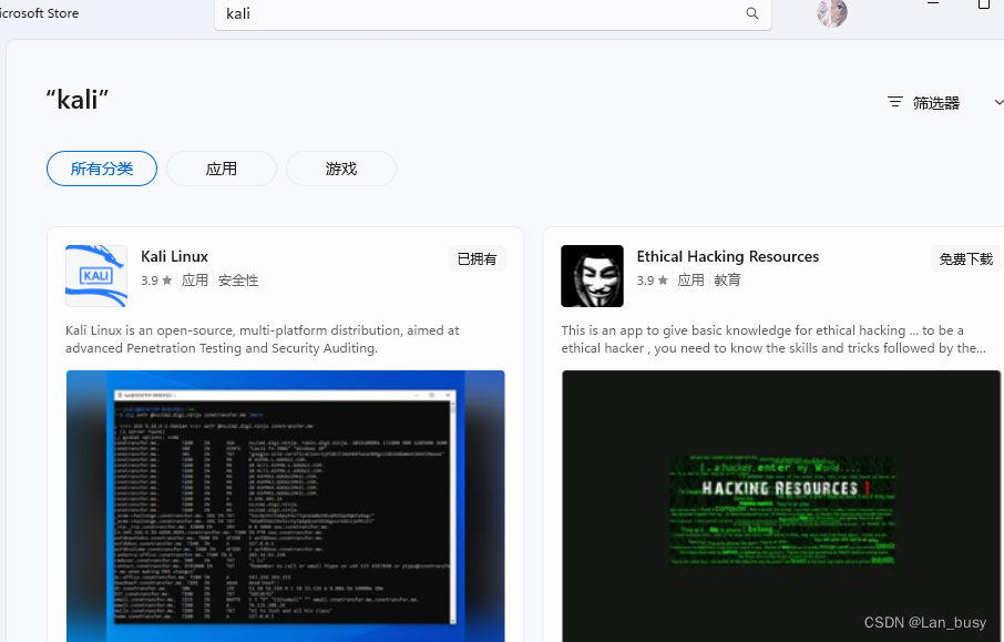 kali-wsl安装教程_wsl安装kali-CSDN博客