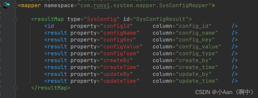 导入java项目后，mybatisx插件无法识别mapperxml文件实体类解决方案mapper中无法解析实体类 Csdn博客