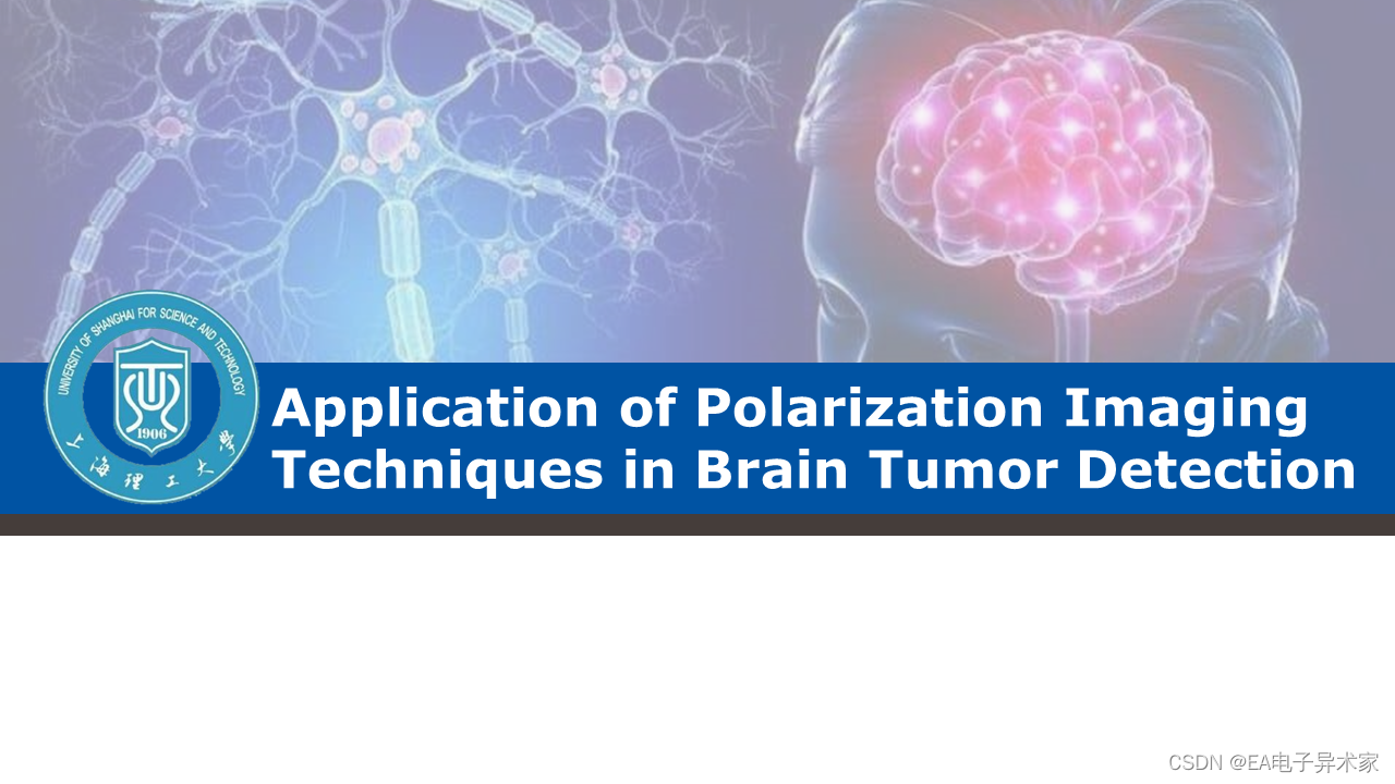 Ppt Application Of Polarization Imaging Techniques In Brain Tumor Detection 偏振成像技术在脑肿瘤检测中的应用