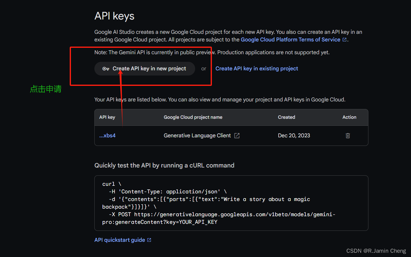 Gemini Pro Chat一键部署-CSDN博客