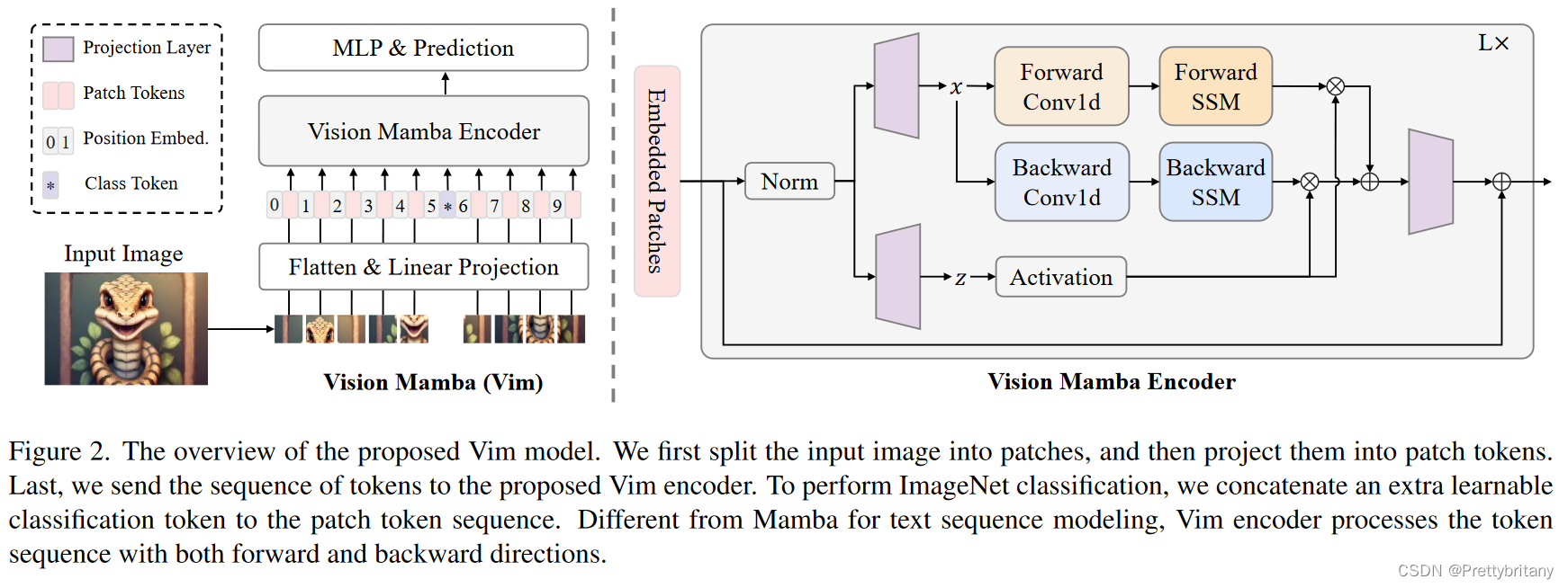 【论文阅读】Vision Mamba: Efficient Visual Representation Learning with Bidirectional State Space ...