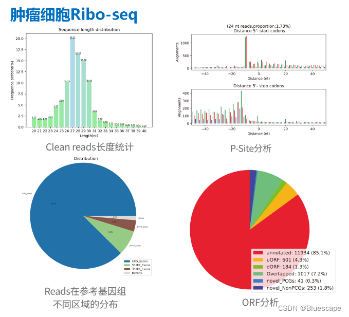 Ribo-seq：检测正在翻译的mRNA信息，连接转录组学与蛋白质组学的桥梁-CSDN博客