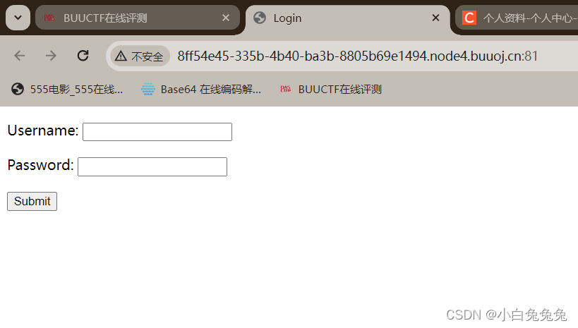 【BUUCTF】BUU BRUTE 1 1-CSDN博客