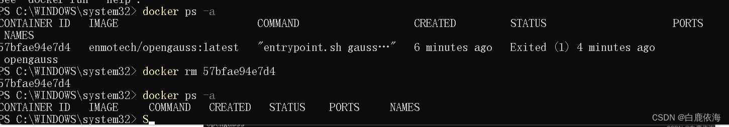 win11下安装opengauss(Docker)_opengauss windows版-CSDN博客