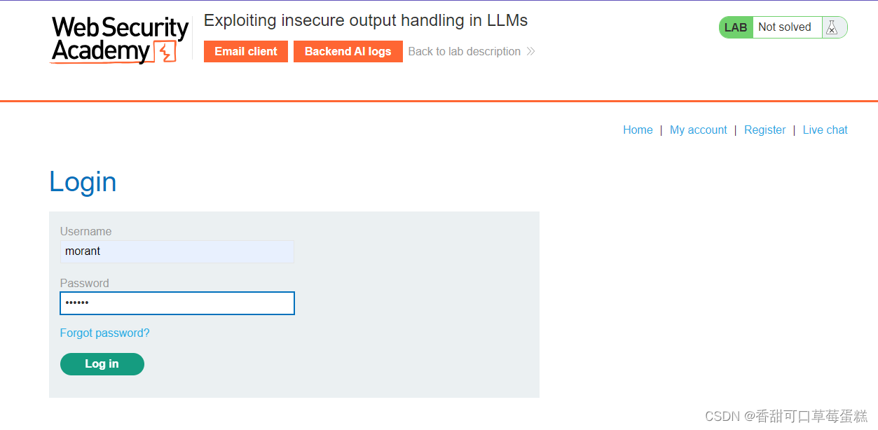 Web LLM 攻击实验：利用 LLM 中不安全的输出处理-CSDN博客