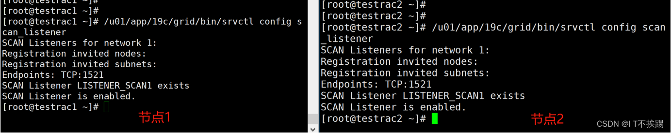 Oracle 19C RAC IPv6改造（IPv4+IPv6双栈配置）_oracle ipv6-CSDN博客
