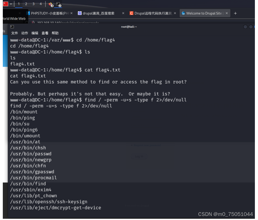 Vulnhub靶机:DC-1渗透——新手进阶3_vulnhub dc1 flag3在哪里-CSDN博客
