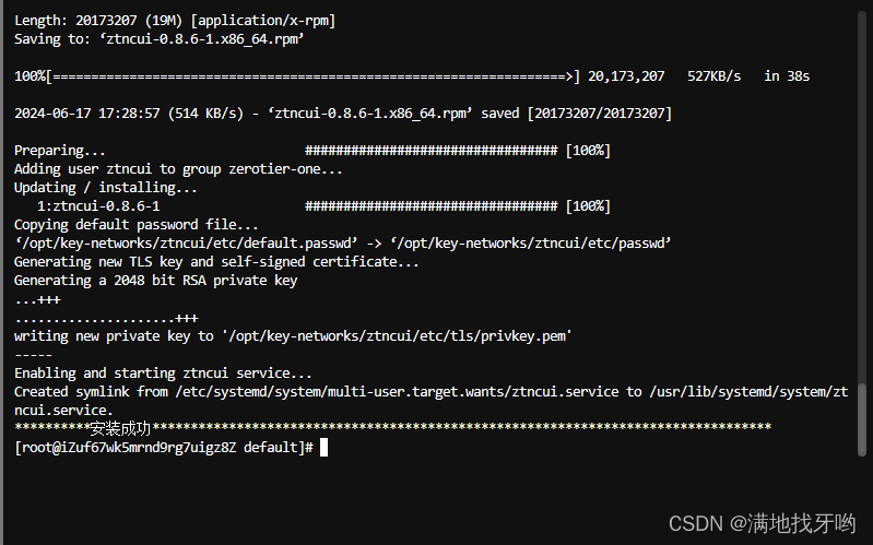 宝塔搭建Zerotier根服务器-(值得收藏)-CSDN博客