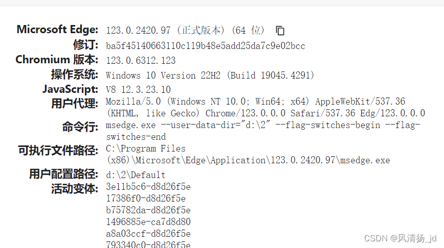 Chromium 指定用户数据目录启动浏览器--user-data-dir-CSDN博客
