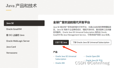 IDEA与JDK11的安装流程以及用SpringBoot运行第一个HelloWorld程序_jdk 11 springboot-CSDN博客