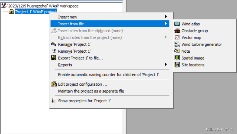 WAsP风能软件学习及踩坑纪录——地图（.map）制作_wasp风能软件 教程-CSDN博客