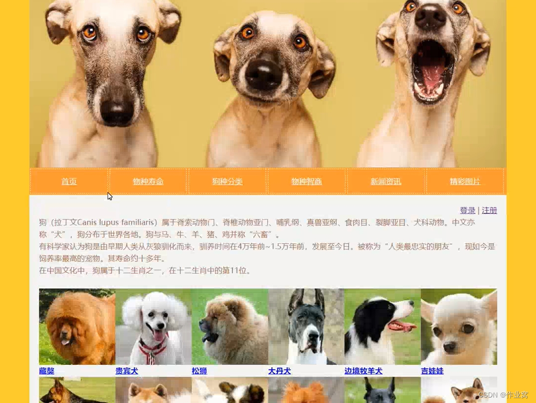 Phpmysql宠物主题动态网页设计源码数据库，大学生期末大作业，php课程设计phpmysql网站设计源码 Csdn博客