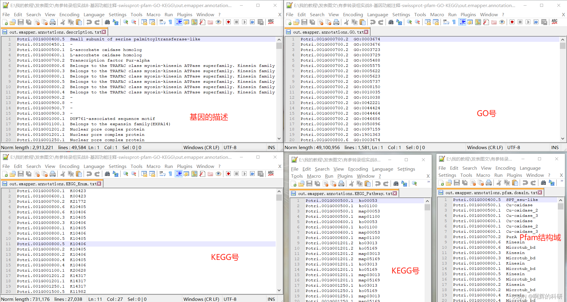 有参转录组实战8-基因功能注释_GO_KEGG_swissprot_pfam_TFDB_iTAK_go和kegg注释放入蛋白序列-CSDN博客