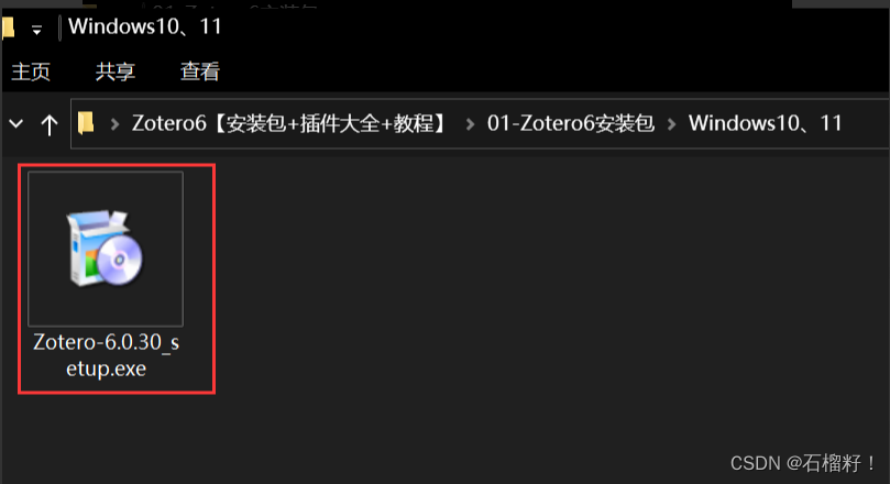 Zotero6安装/插件安装教程_zetero6如何安装插件-CSDN博客