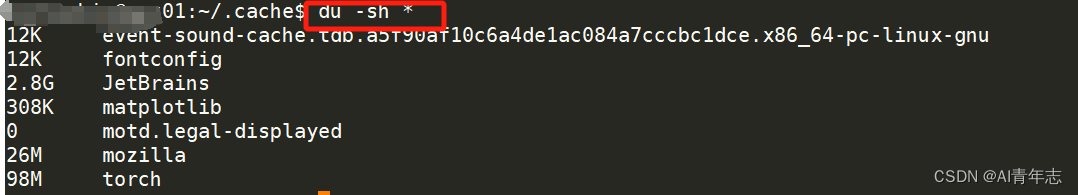 【linux】公共服务器如何清理过多的.cache缓存_linux目录缓存-CSDN博客