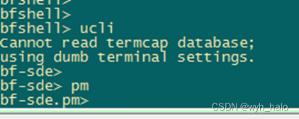 【交换芯片】硬件定版调测下Barefoot交换配置操作说明_barefoot sde-CSDN博客