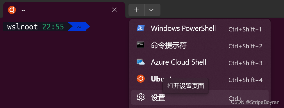 在wsl上使用zsh_wsl zsh-CSDN博客