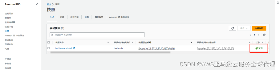 AWS 创建RDS数据库存储卷快照_awscli 创建 rds snapshot 保存在本地-CSDN博客