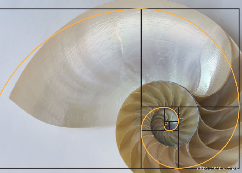 SAP Fiori开发中的JavaScript基础知识17 - 用JavaScript生成斐波那契(Fibonacci)数列_前端斐波那契实现-CSDN博客