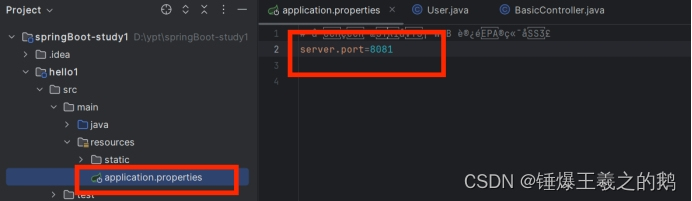 JDK11+IDEA安装+第一个简单java程序测试-CSDN博客