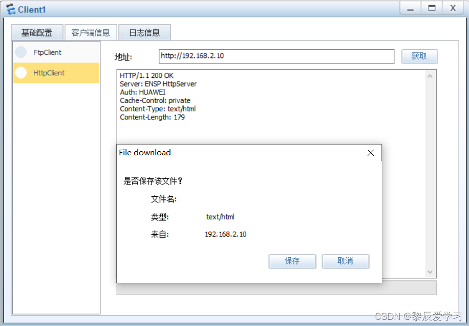 ENSP配置HTTP、DNS、DHCP、telnet_用ensp实现telnet协议与dhcp协议-CSDN博客