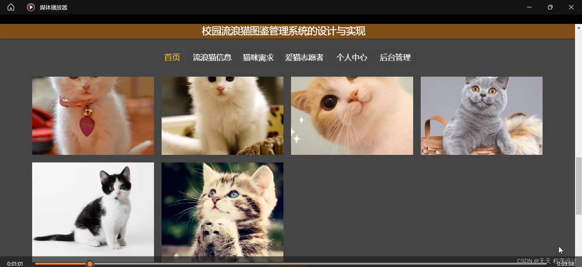 【附源码】java计算机毕业设计校园流浪猫图鉴管理系统的设计与实现源码mysql文档流浪猫管理系统 Csdn博客