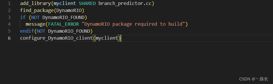 Dynamorio插桩工具的使用-CSDN博客