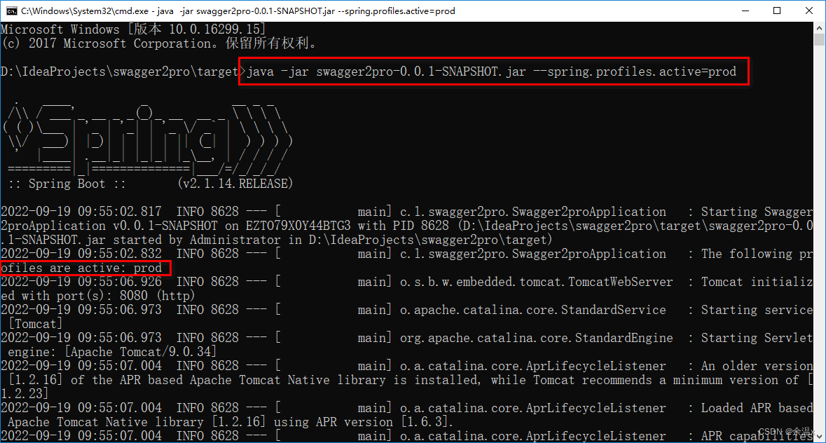 Swagger2入门-CSDN博客