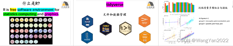 R语言结构方程模型SEM：lavaan包讲解及应用、潜变量分析、复合变量分析、分类变量分析、分组数据分析、嵌套/分层/多水平数据分析、重复测量和时间数据分析、空间自相关数据分析、非递归模型分析 ...