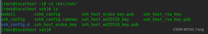 VSCode 远程登陆openEuler_vscode 远程openeuler-CSDN博客