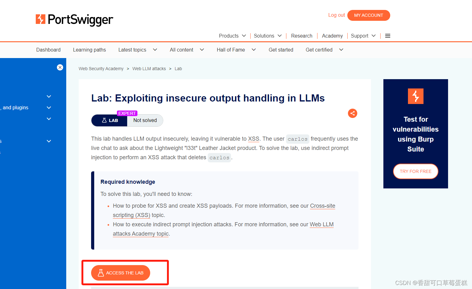 Web LLM 攻击实验：利用 LLM 中不安全的输出处理-CSDN博客