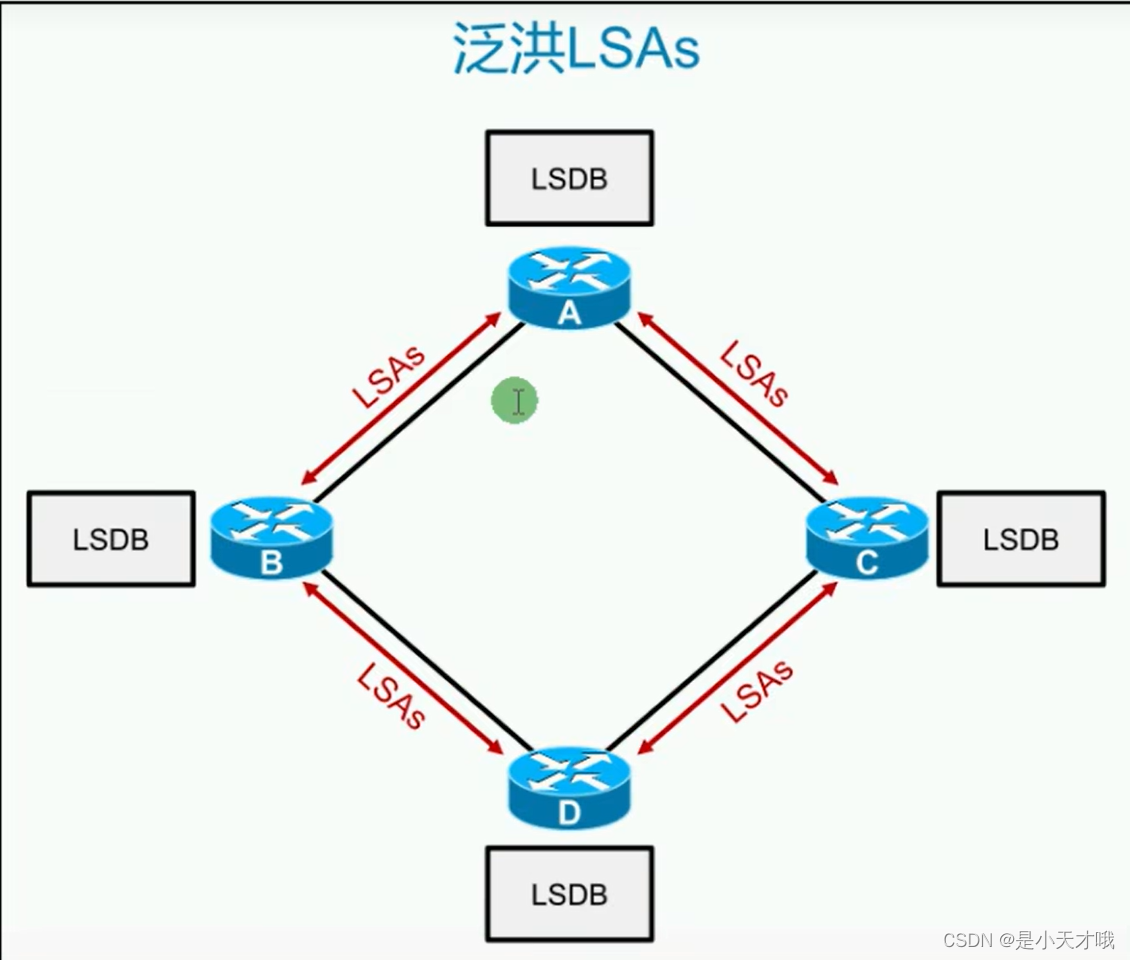 OSPF-OSPF基础_ospf工作区域-CSDN博客