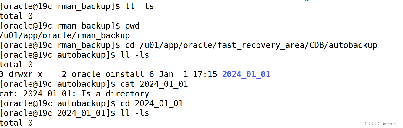 oracle 19c 容器数据库rman备份与恢复配置（一）_19c 备份还原-CSDN博客
