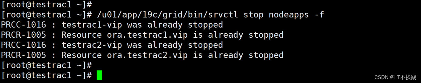 Oracle 19C RAC IPv6改造（IPv4+IPv6双栈配置）_oracle ipv6 访问-CSDN博客