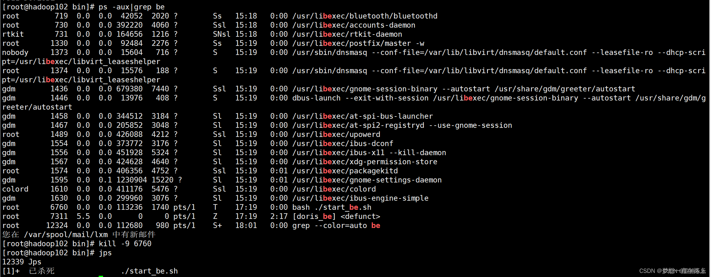 大数据之Doris集群搭建与部署(一)_doris集群部署-CSDN博客