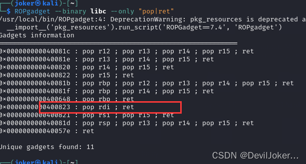 关于ret2libc 的泄露 puts(64位)+write(32位）_ret2libc puts-CSDN博客