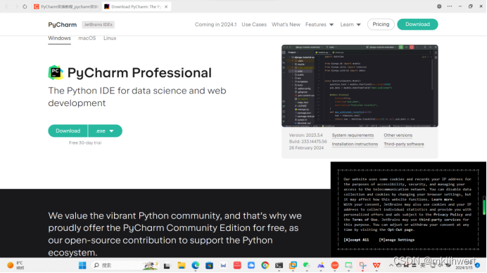 在Win11中安装python_win11安装python-CSDN博客