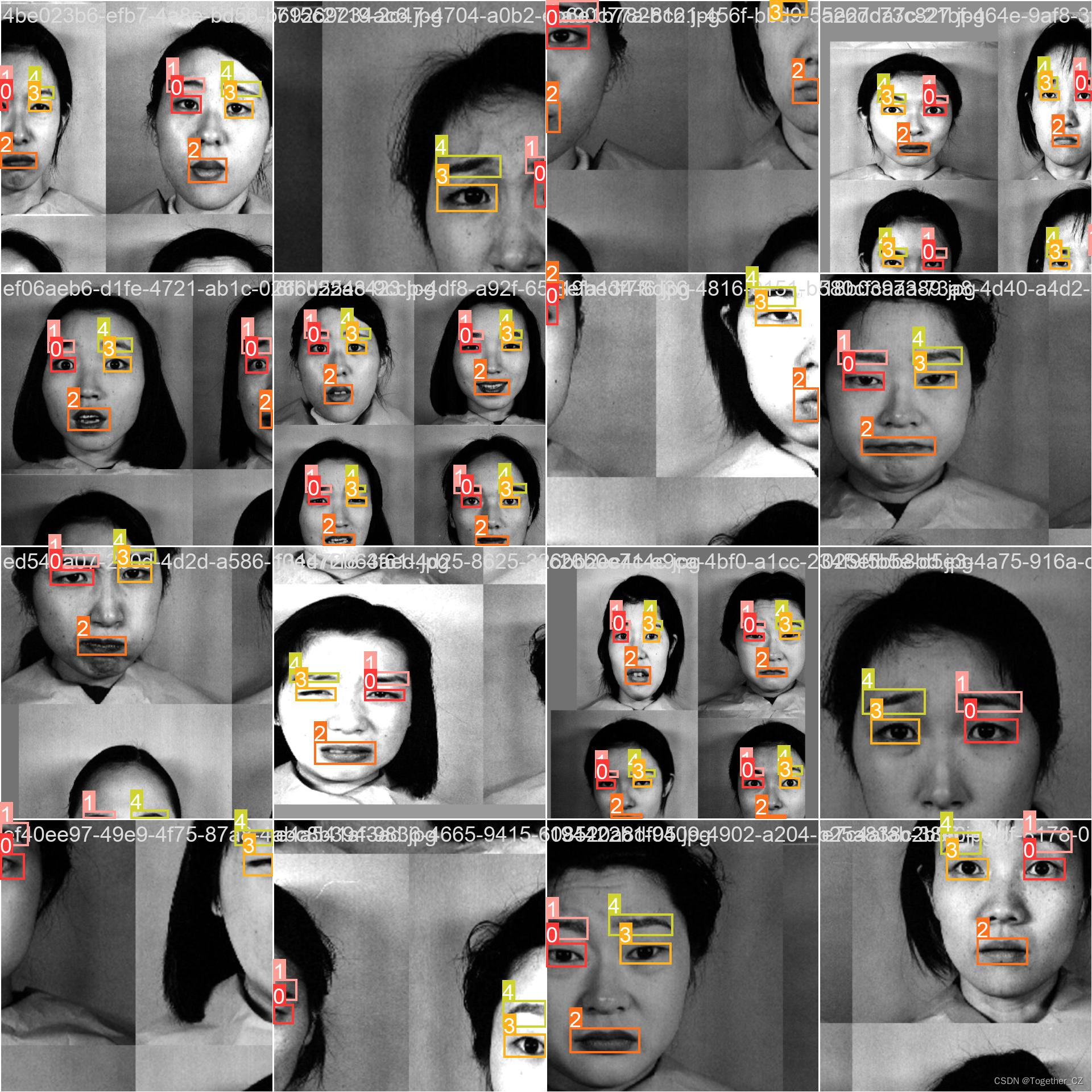 探索实践面部五官检测，基于YOLOv5全系列【n/s/m/l/x】参数模型开发构建人脸面部场景下五官检测识别系统_yolov5 人脸检测-CSDN博客