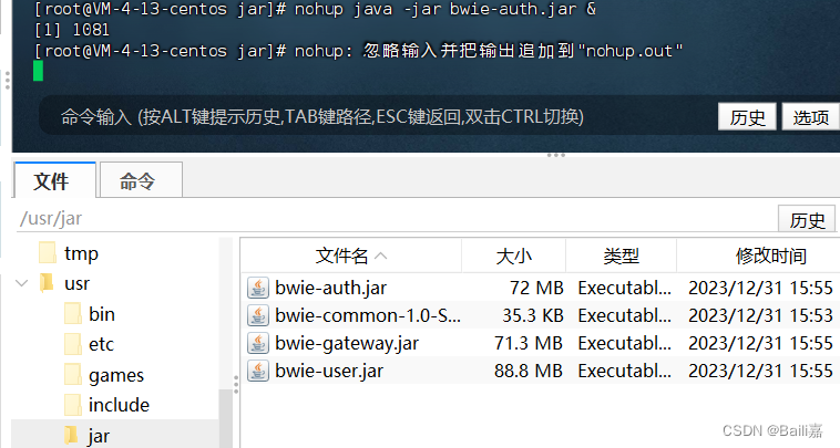 Java Spring Cloud项目 打包部署到云服务器_springcloud打包部署上线-CSDN博客
