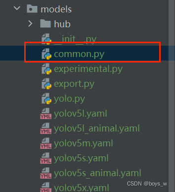 小白使用YOLO5—v5.0训练猫狗数据的全过程及所遇到的坑_yolov5 5.0-CSDN博客