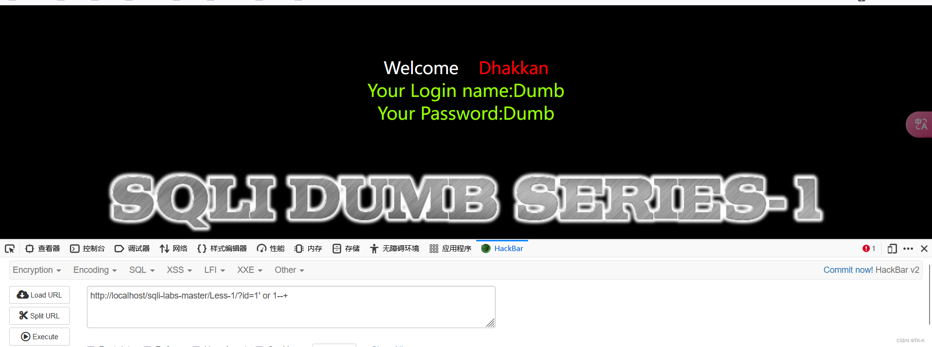 SQLi-LABS-CSDN博客