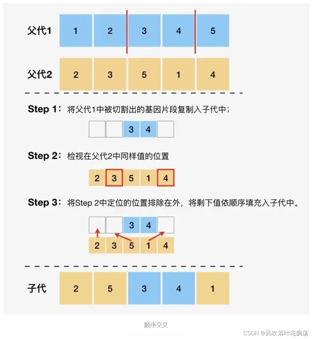 2024年 基于deap库的python进化算法 Deap的基本操作与实现一deap Python Csdn博客 
